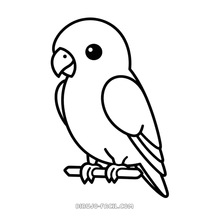 Dibujo fácil de loro | Dibujo Facil Dibujo fácil de loro | Dibujo Facil